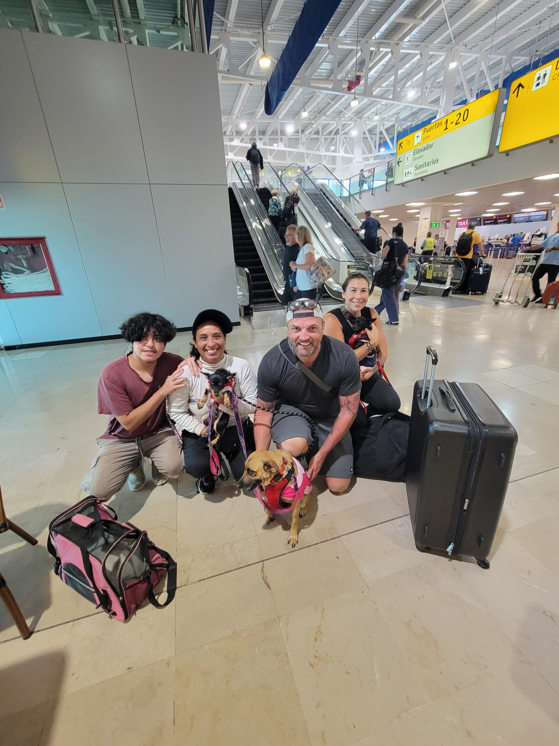 Flight Angels - Teca Animal Refuge